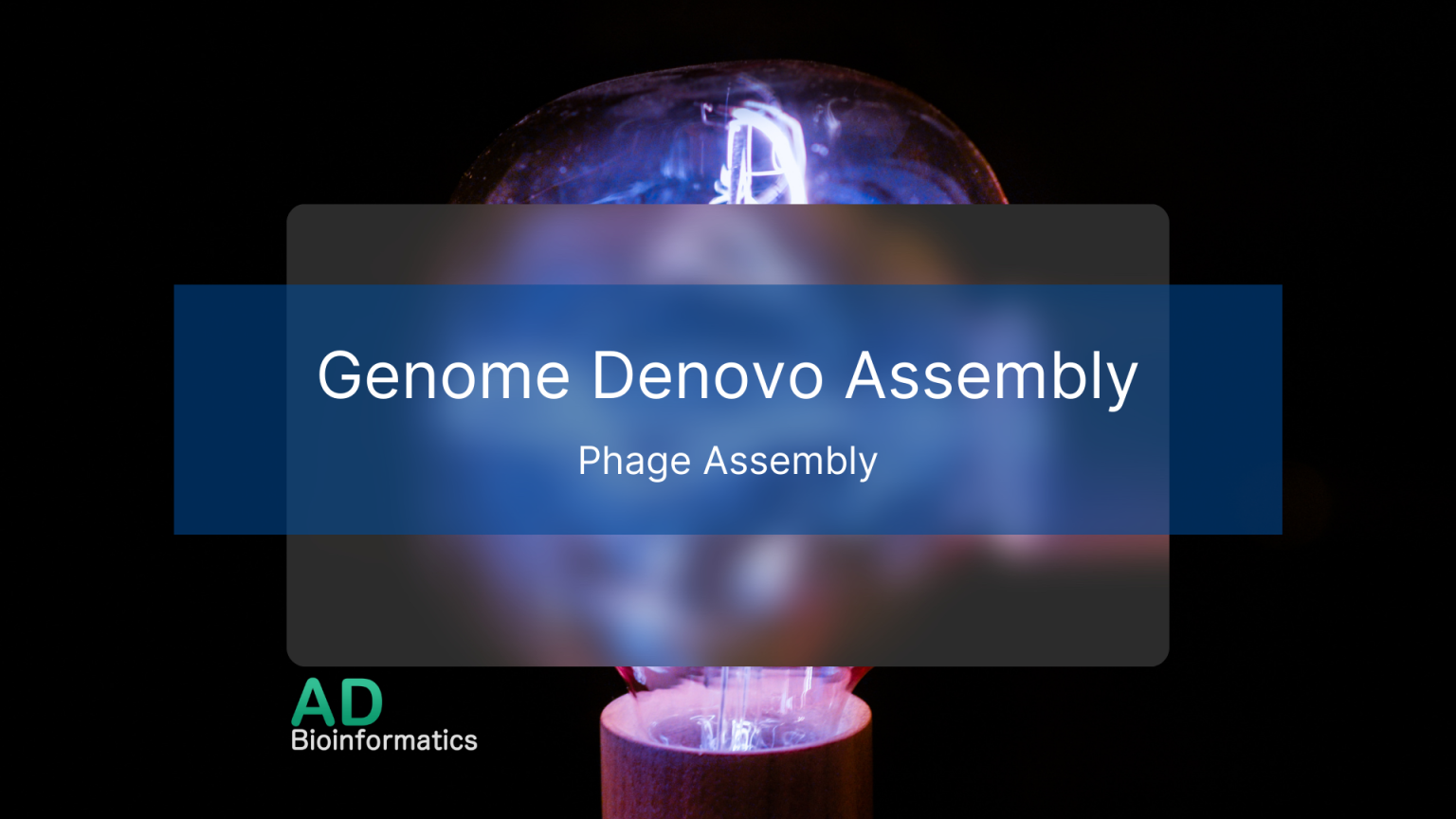 Genomic Denovo Assembly - AD Bioinformatics Genomic Denovo Assembly